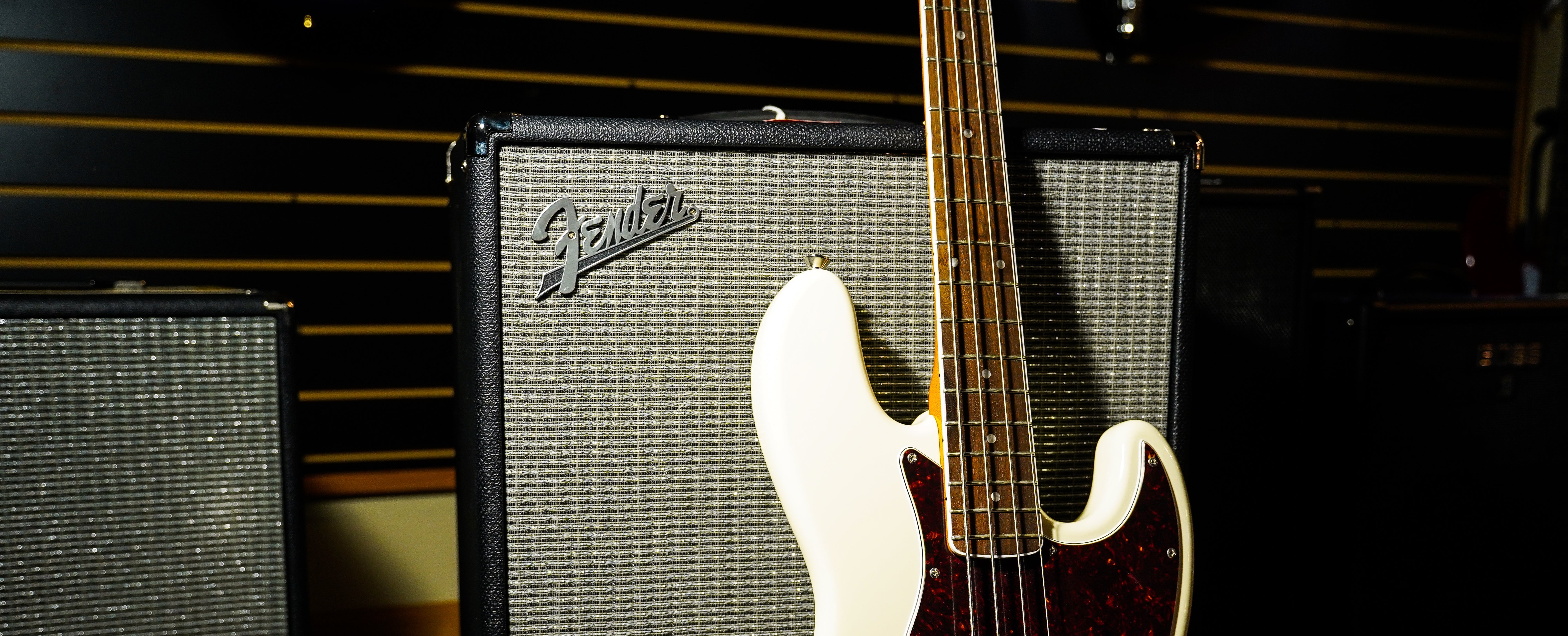 Bass Guitar Amps – Morgan Music